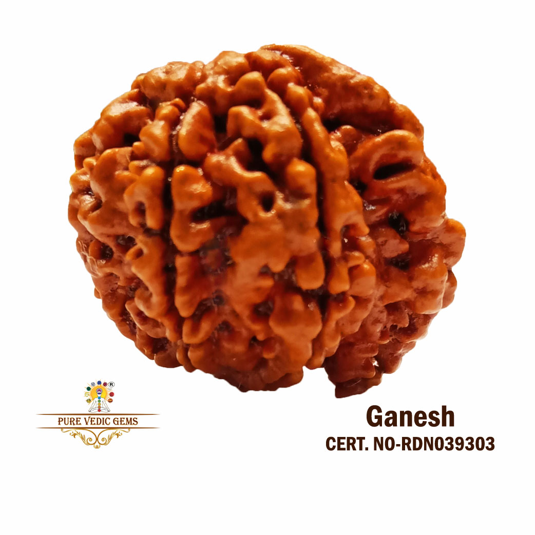 Ganesh Rudraksha (4992mg)